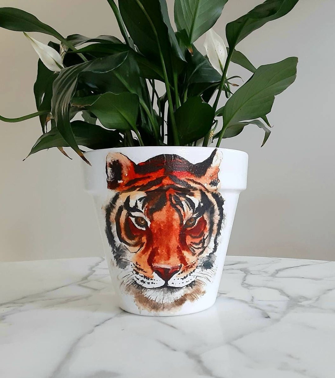 Tiger Flowerpot-6 Inch, Tiger Gift, Jungle Gift, Tigers, Indoor Planter ...