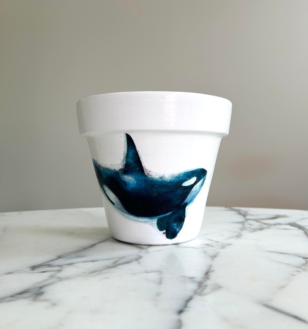 Orca Whale Flowerpot-6 Inch, Orca Whale Gifts, Killer Whale Gifts, Whale Plant Pots, Ocean ...