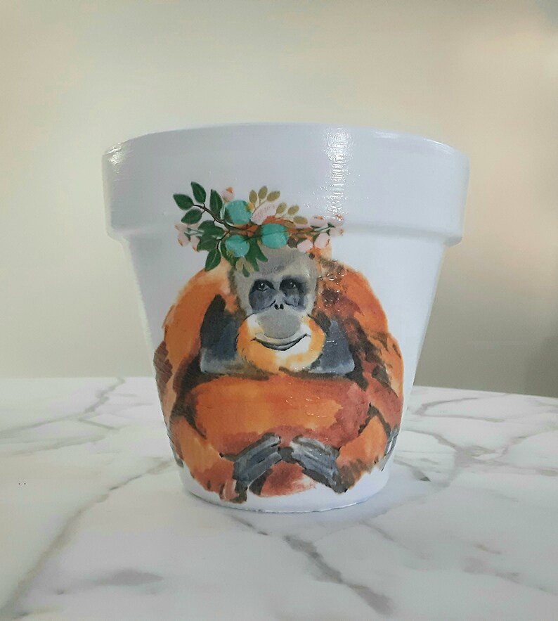 Orangutan Clay Pot-6 Inch Orangutan Gifts Clay Pot Flower - Etsy