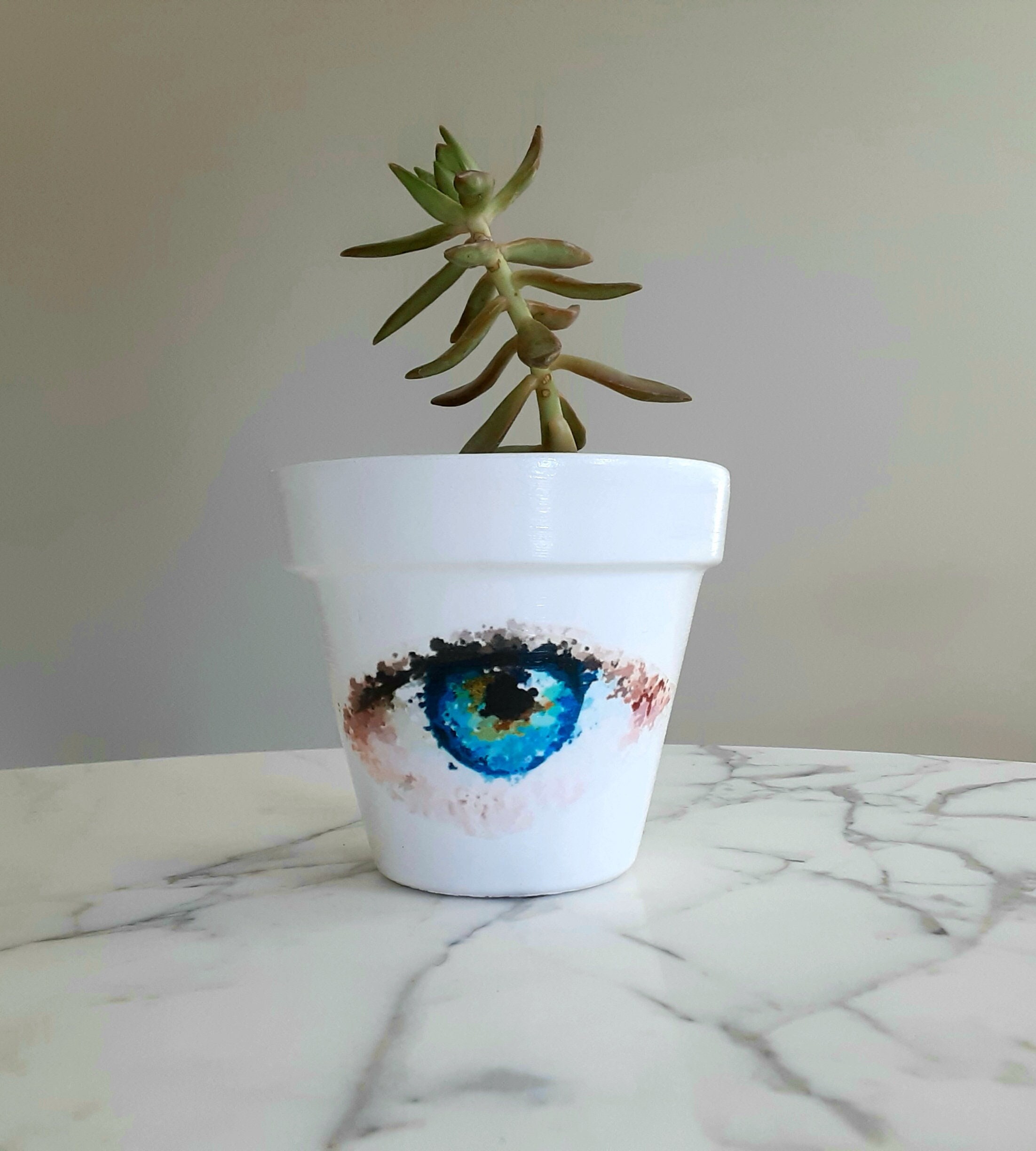 Evil Eye Planter-6 Third Eye Clay Pots Evil Eye - Etsy