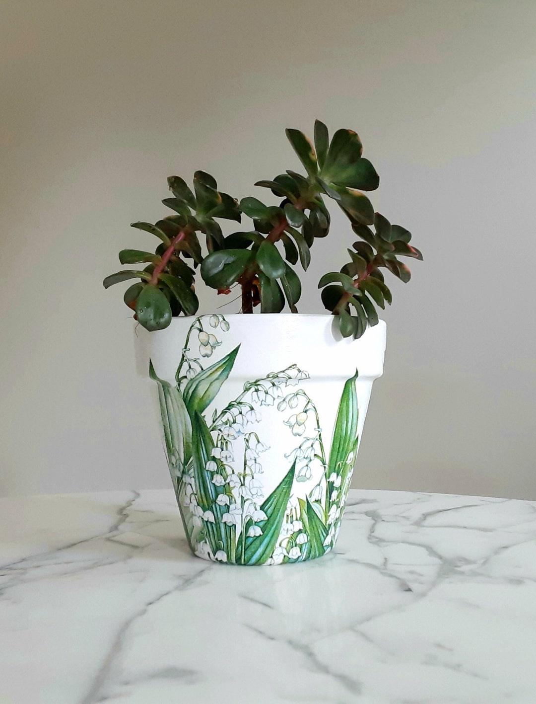 Lily Flowerpot-6 Inch, Lily Flower Gifts, Lily Flowers, Gifts for Her ...