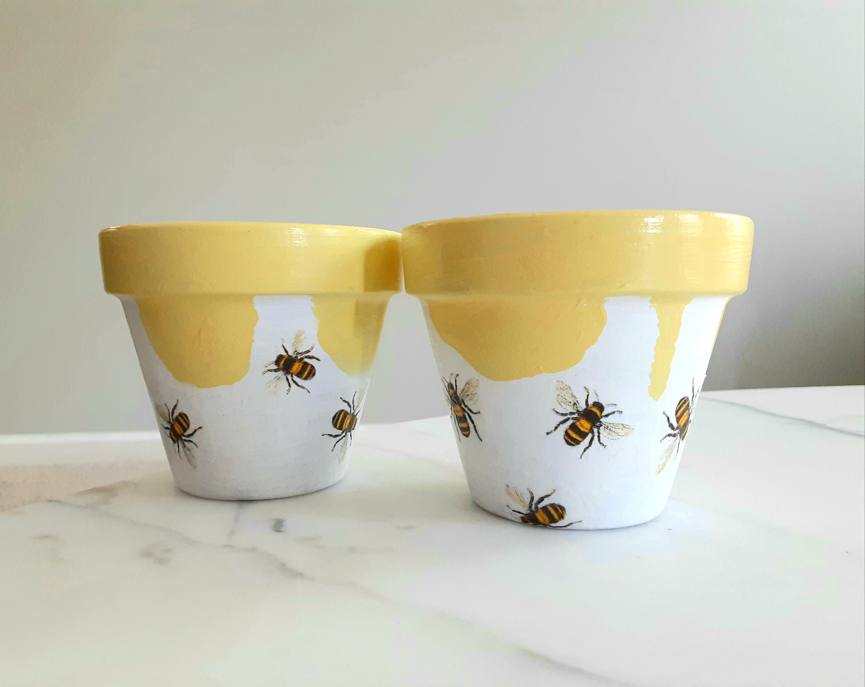 Set of 2-honeybee Clay Pots 4.5-inch Honeybee Gifts Bee - Etsy Australia