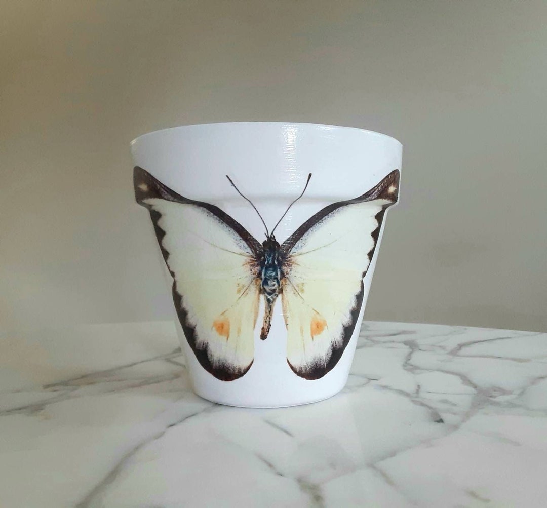 Butterfly Clay Pot-6 Inch, Butterfly Flower Pot, Butterfly Gift, Animal ...