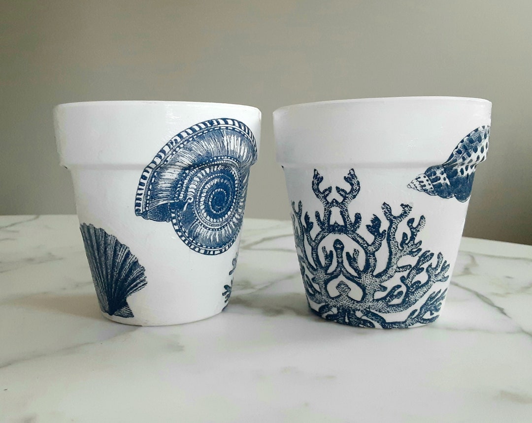 Set of 2-seashell Themed Clay Pots-3.5 Inch Clay Pots Clay - Etsy