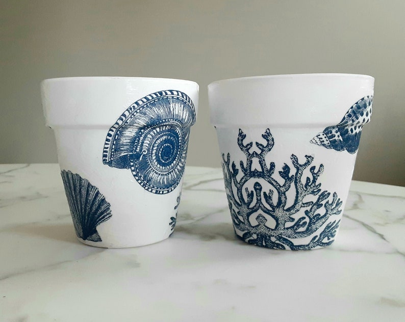Set of 2-seashell Themed Clay Pots-3.5 Inch Clay Pots Clay - Etsy