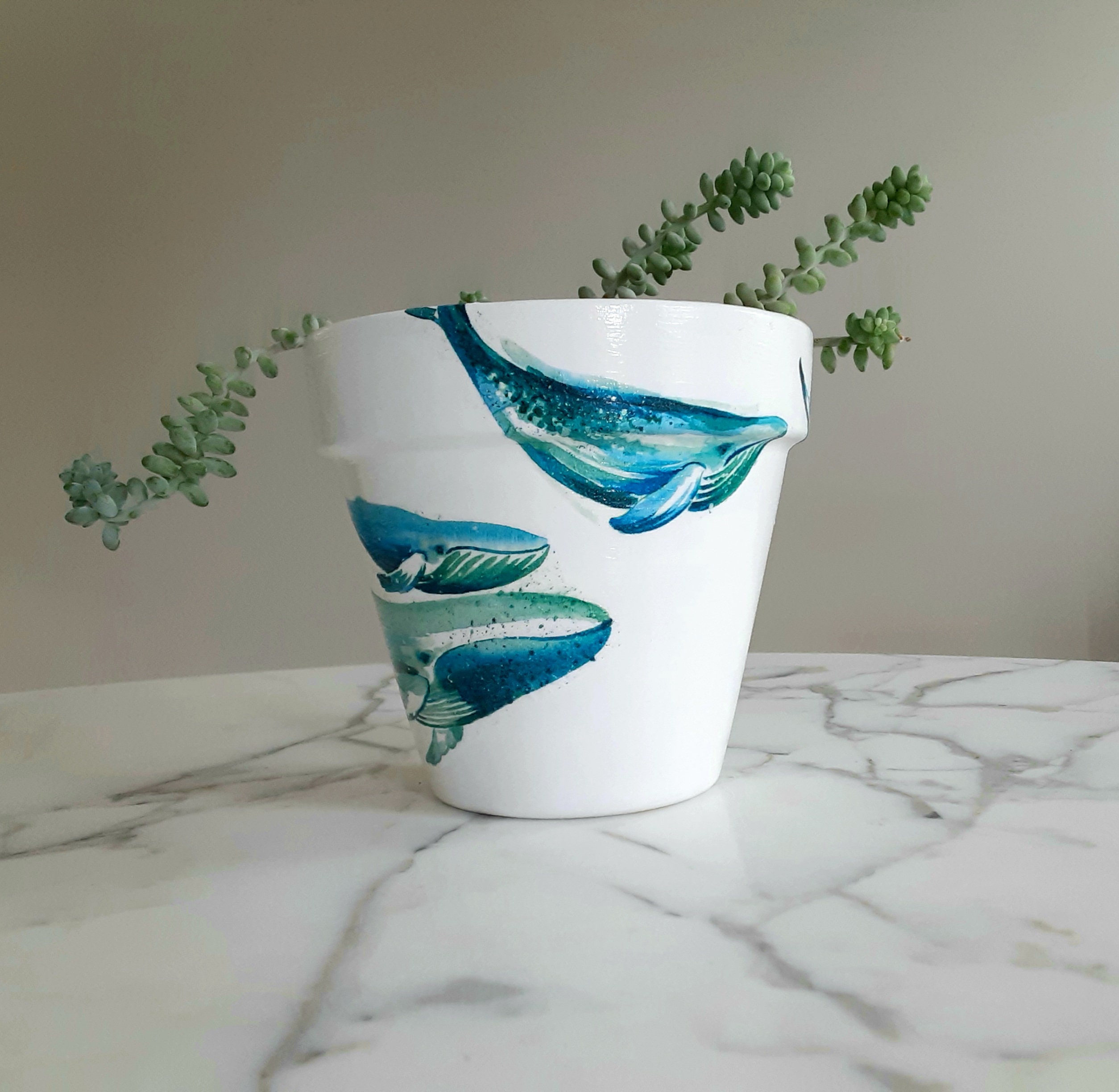 Whale Flower Pot-6 Inch Whale Clay Pot Whales Decoupage - Etsy