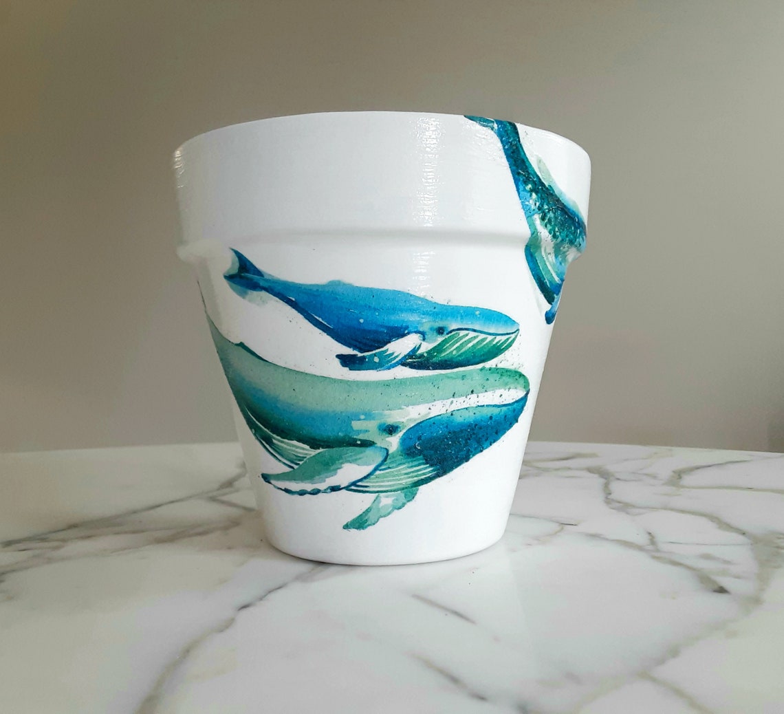 Whale Flower Pot-6 Inch Whale Clay Pot Whales Decoupage - Etsy