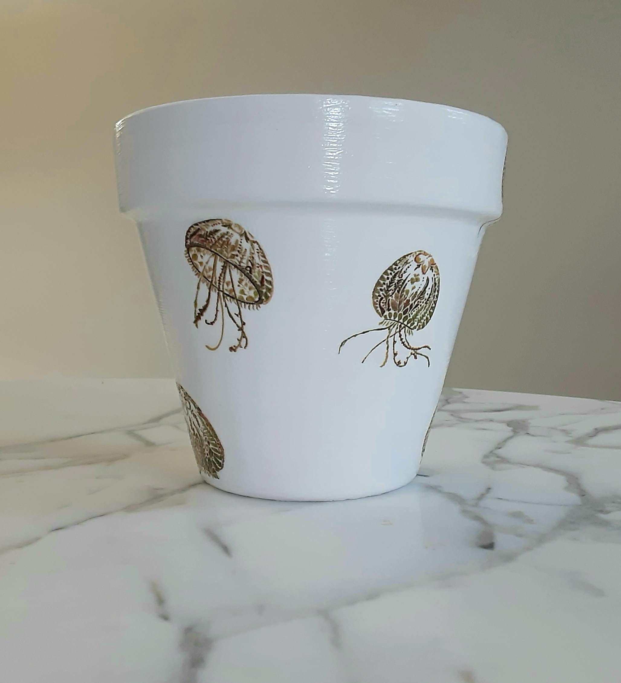 Jellyfish Planter-6 Inch Jellyfish Gifts Jellyfish | Etsy