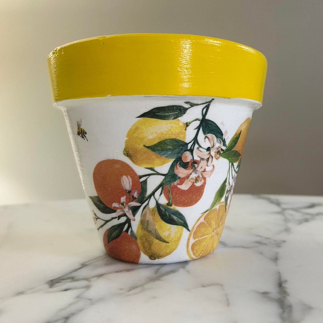 Lemon Planter-6", Lemon Plant Pot, Orange Flowerpot, Fruit Themed ...