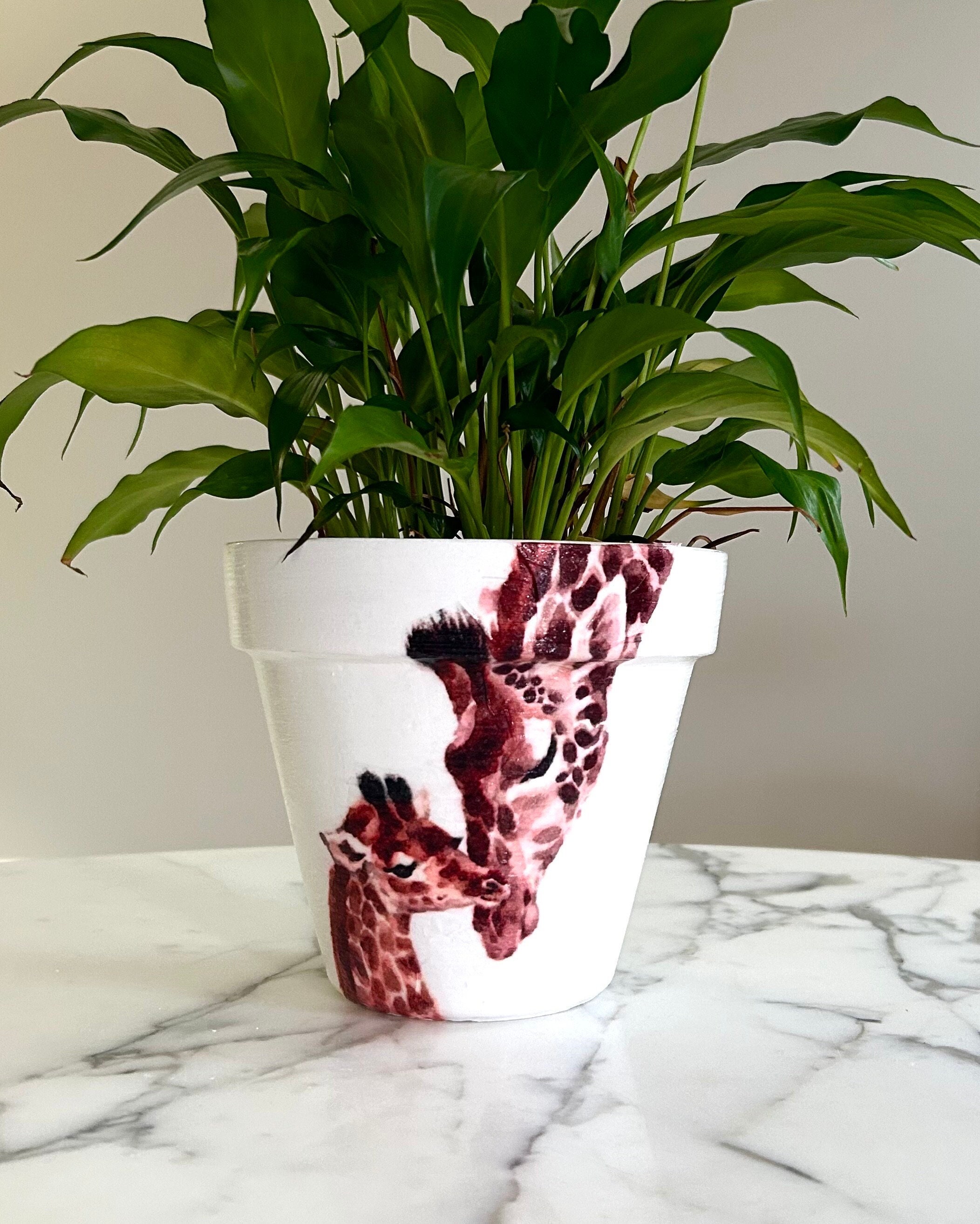 Decoupage Giraffe Clay Planter: Momma & Baby Animal Pot - Etsy