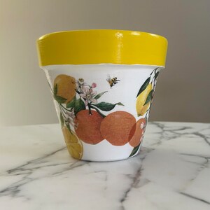 Lemon Planter-6, Lemon Plant Pot, Orange Flowerpot, Fruit Themed ...