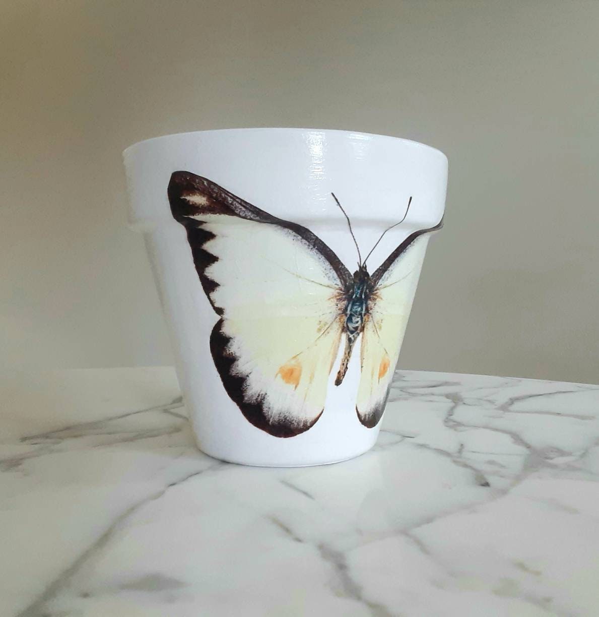 Butterfly Clay Pot-6 Inch Butterfly Flower Pot Butterfly - Etsy