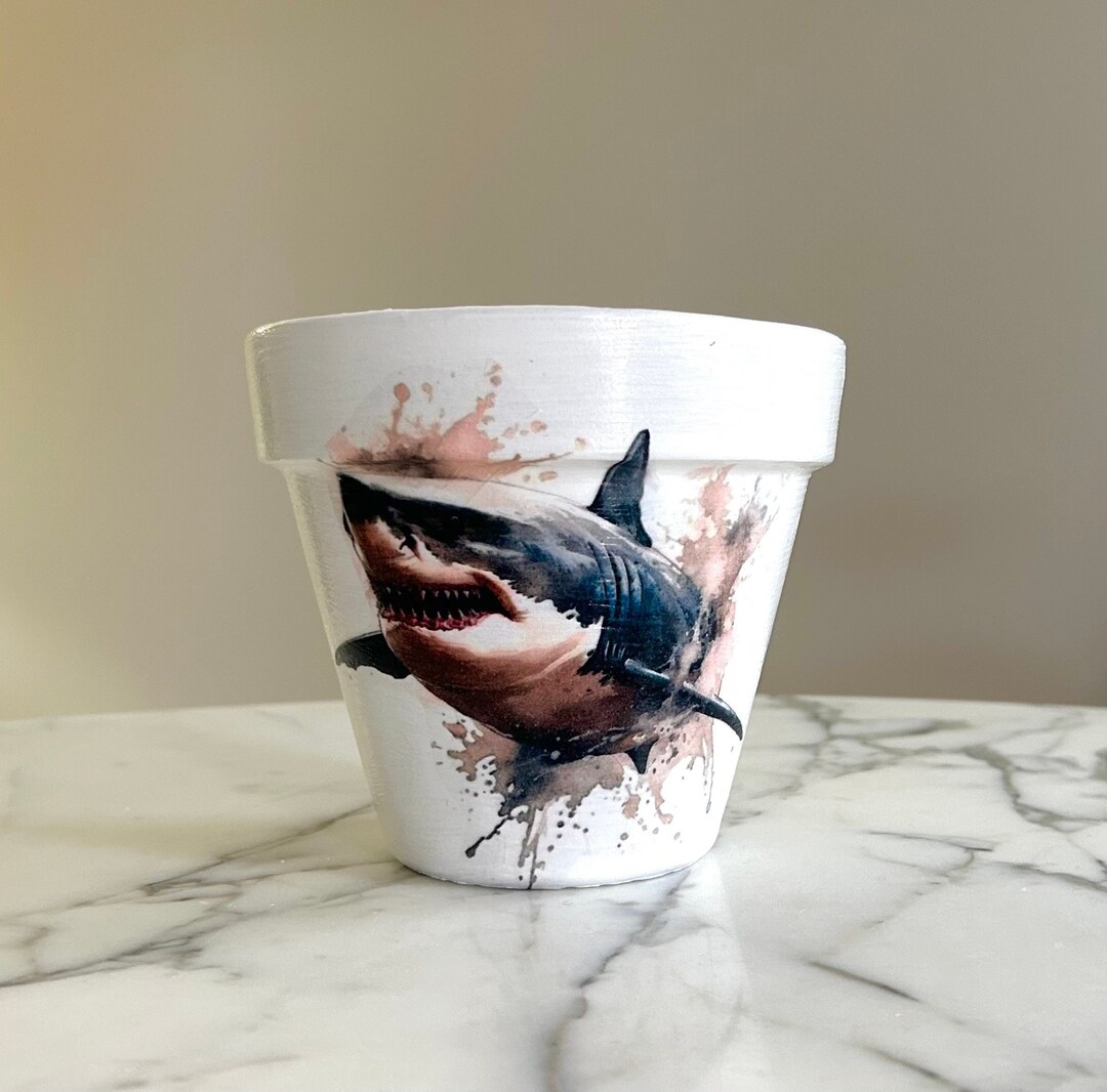 Great White Planter, Shark Gift, Great White Sharks, Beach Gift, Ocean ...