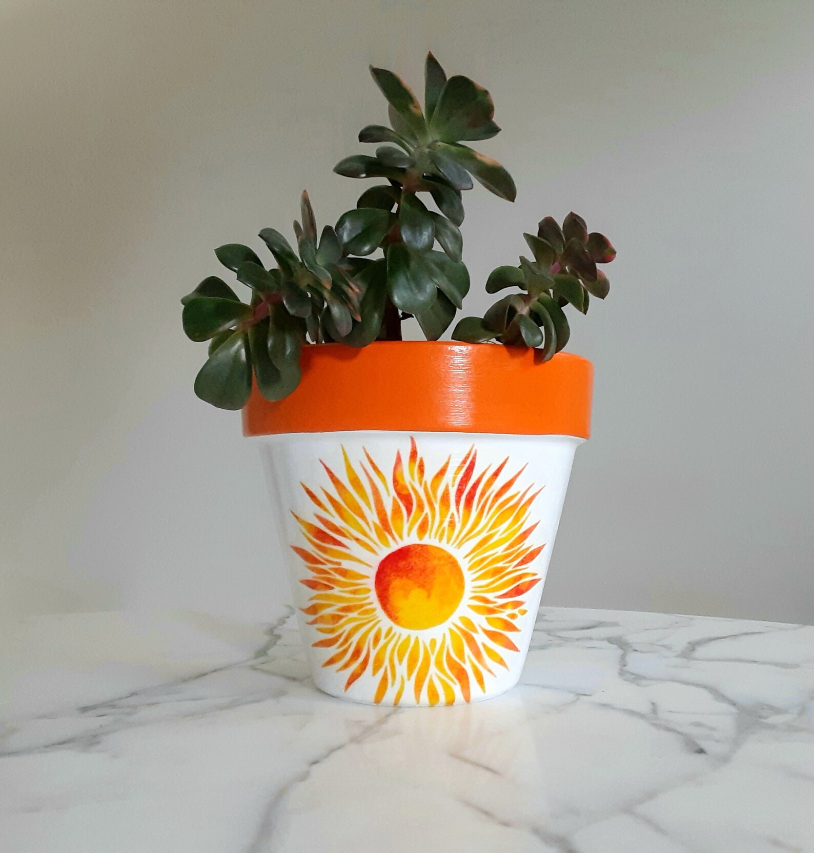 Sun Plant Pot-6inch Sun Gifts Nature Gifts Clay Plant Pot - Etsy