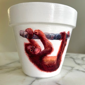Orangutan Clay Pot-6 Inch, Orangutan Gifts, Clay Pot, Flower Pot ...