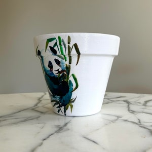 Panda Planter-6", Panda Bear, Jungle Plant Pots, Animal Lover Gifts ...