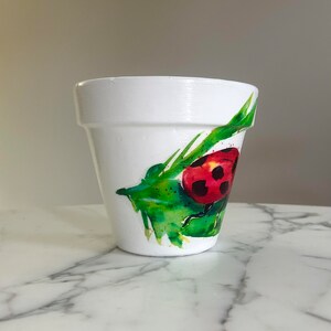 Ladybug Planter, Indoor Plant Pots, Ladybug Gifts, Nature Gifts, Bright ...