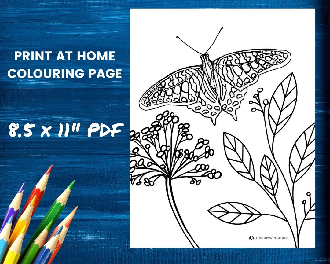 Butterfly Coloring Page Instant Download | Nature Coloring Page ...