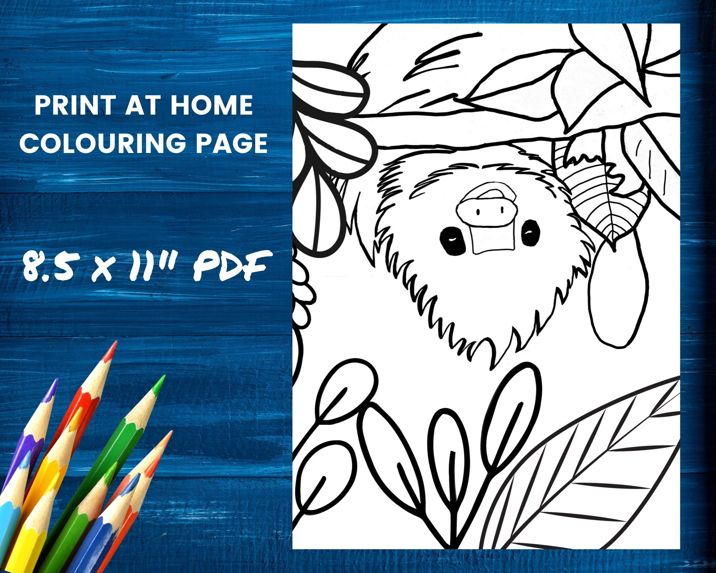 Cute Sloth Coloring Page Digital Download | Nature Coloring Page ...