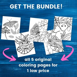 Printable Coloring Page Bundle Nature Theme | Coloring Sheet PDF Bundle ...