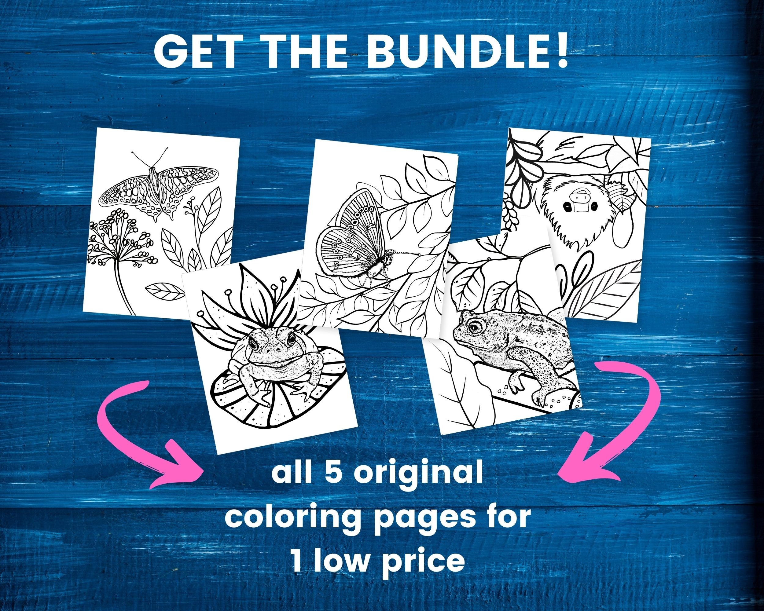 Printable Coloring Page Bundle Nature Theme | Coloring Sheet PDF Bundle ...