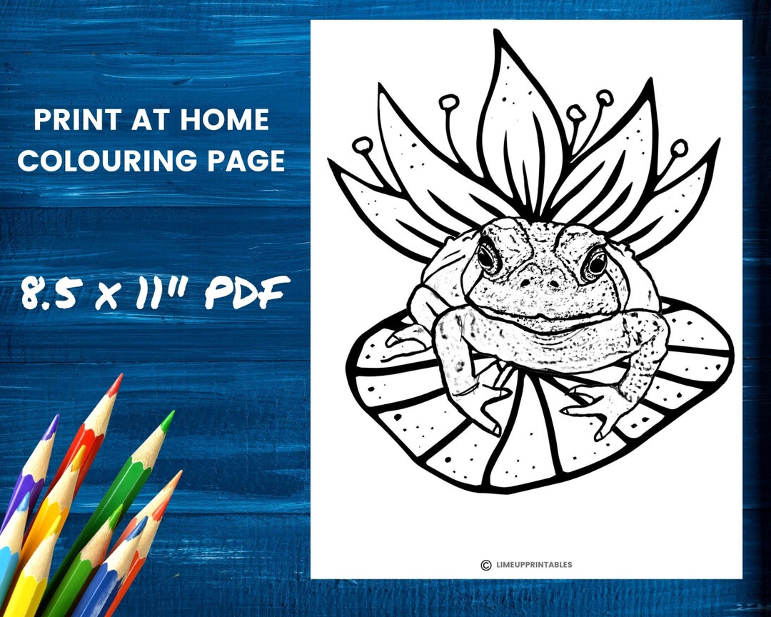 Coloring Page Instant Download Cute Frog | Digital Coloring Book Page ...