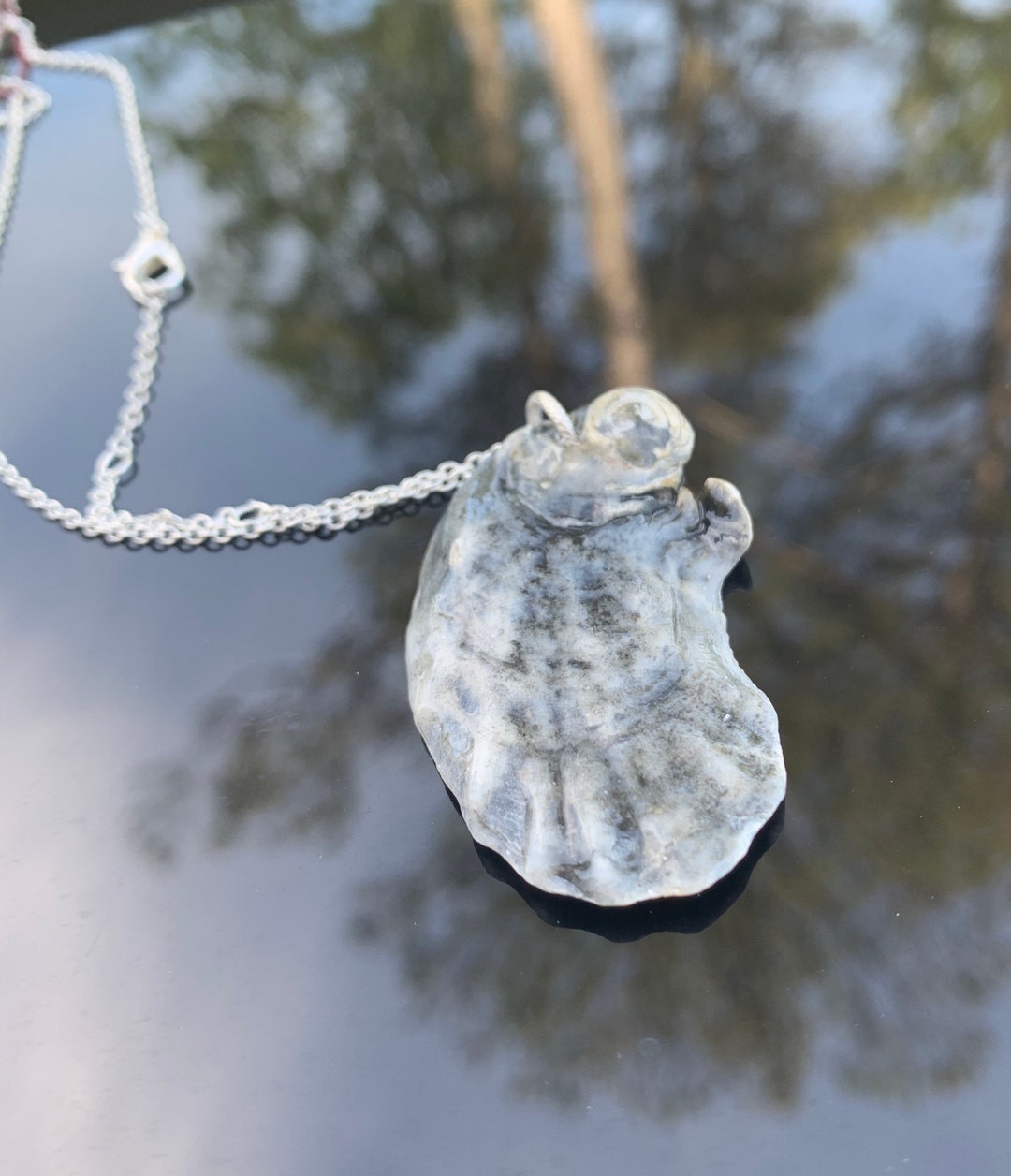 FORTUNE Shell Necklace - Etsy