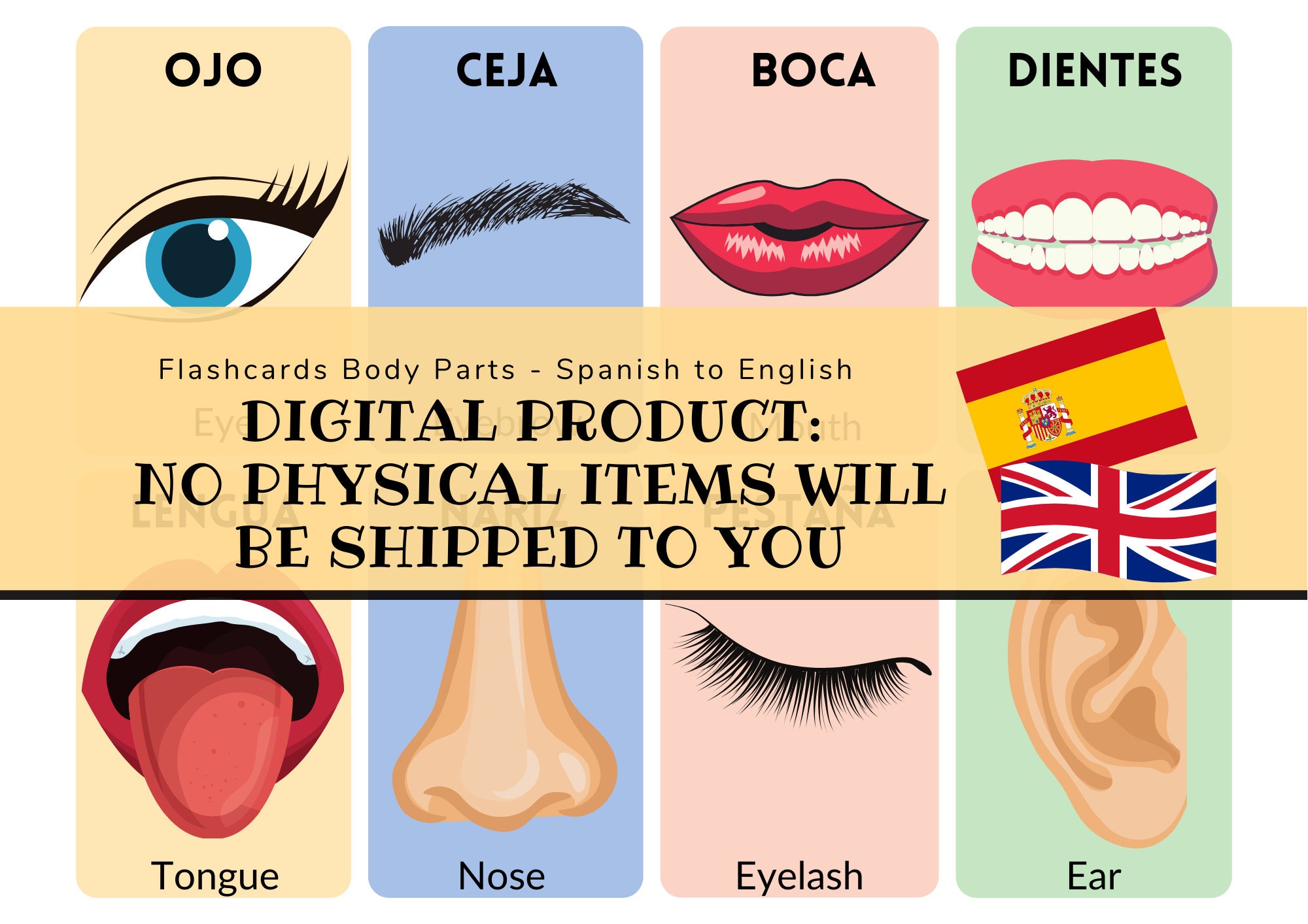 Body Parts Bilingual Digital Flashcards Spanish to English - Etsy