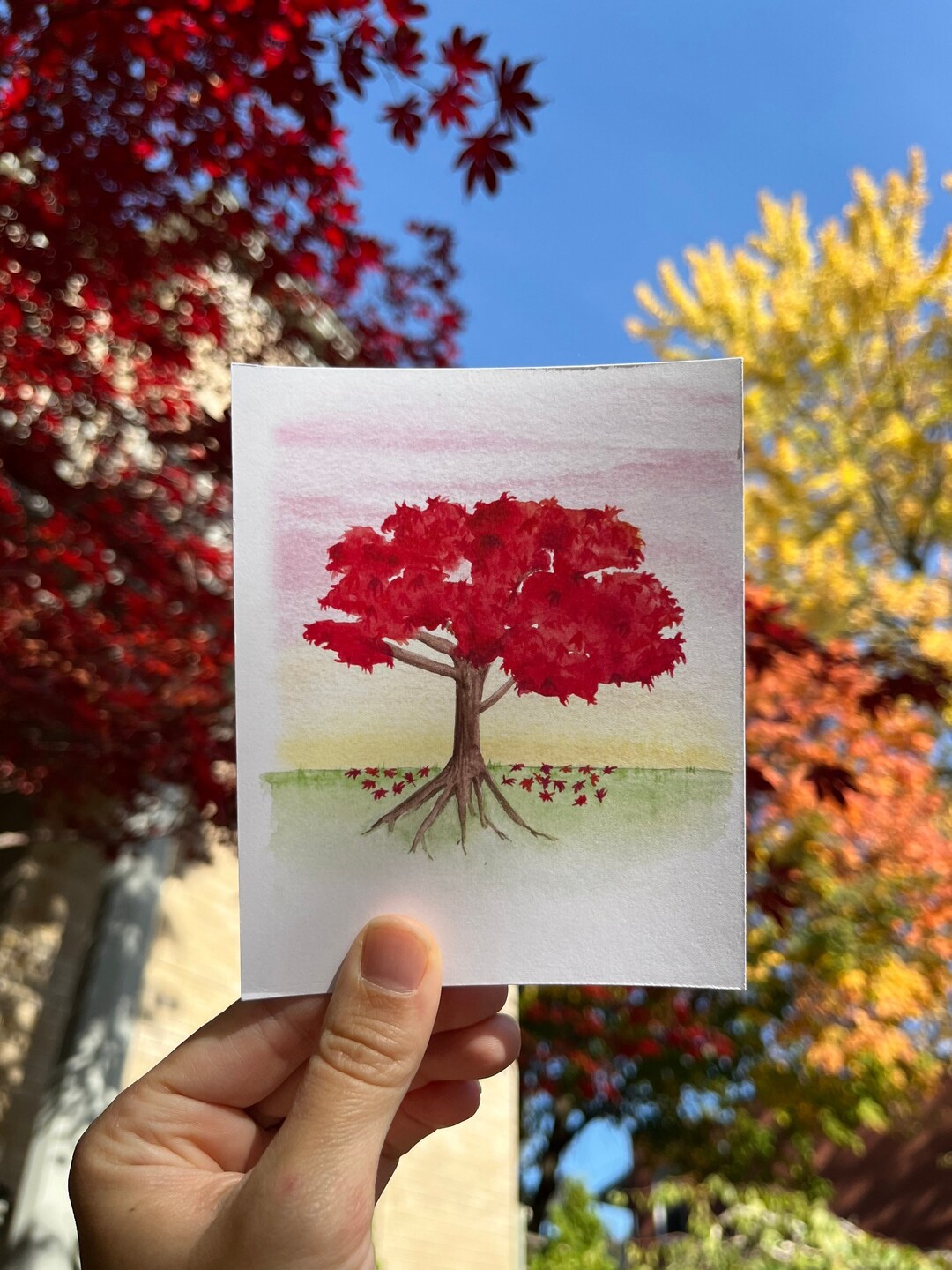 Sympathy Card- Rooted Japanese Maple in Sunset (blank Inside) - Etsy