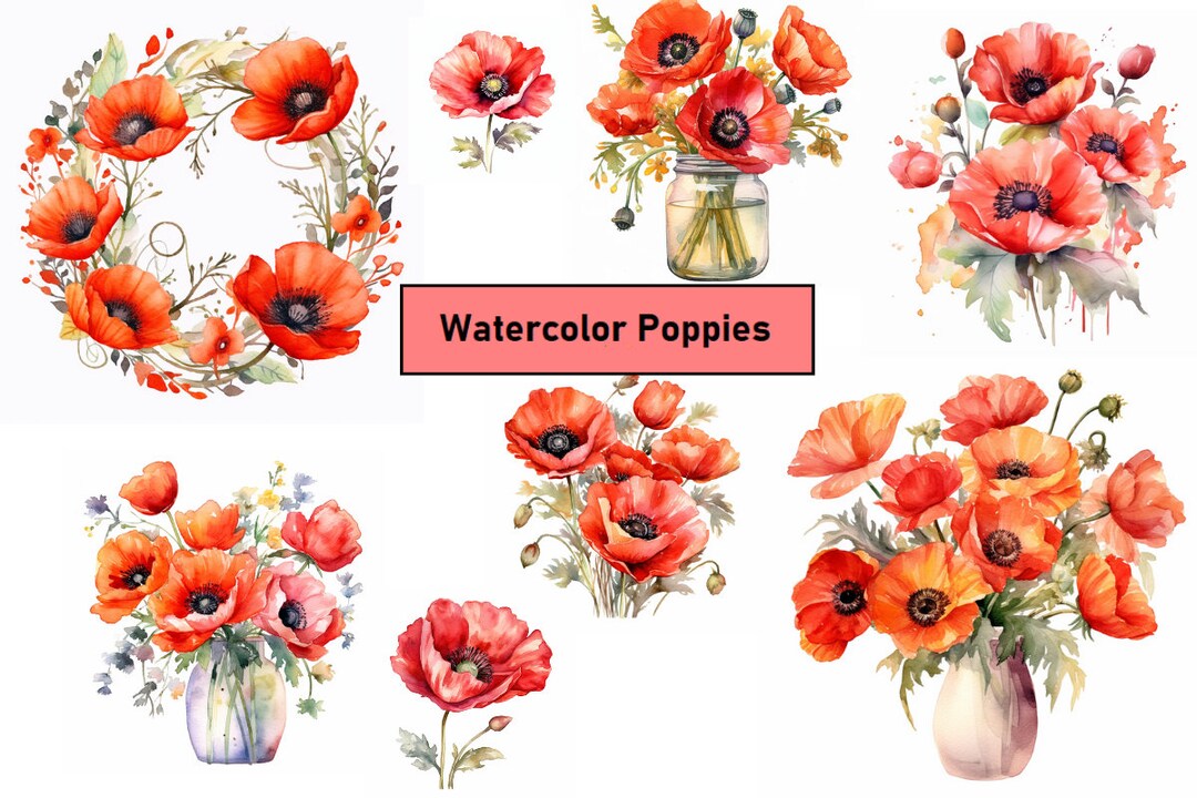 Watercolor Poppy Clipart: Floral Bouquets, PNG (commercial Use) - Etsy