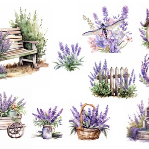 Watercolor Lavender Garden Clipart - Summer Lavender Bouquets - PNG ...
