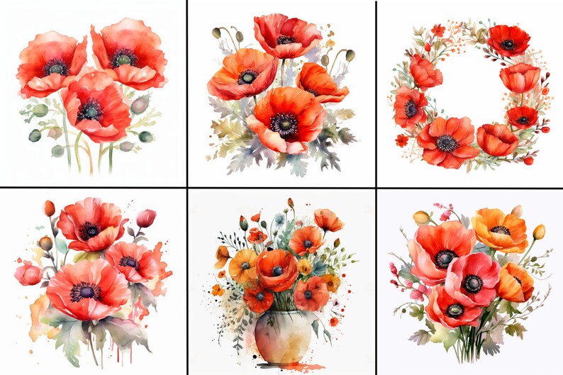 Watercolor Poppies Clipart - Floral Poppy Flowers and Bouquets. - PNG ...