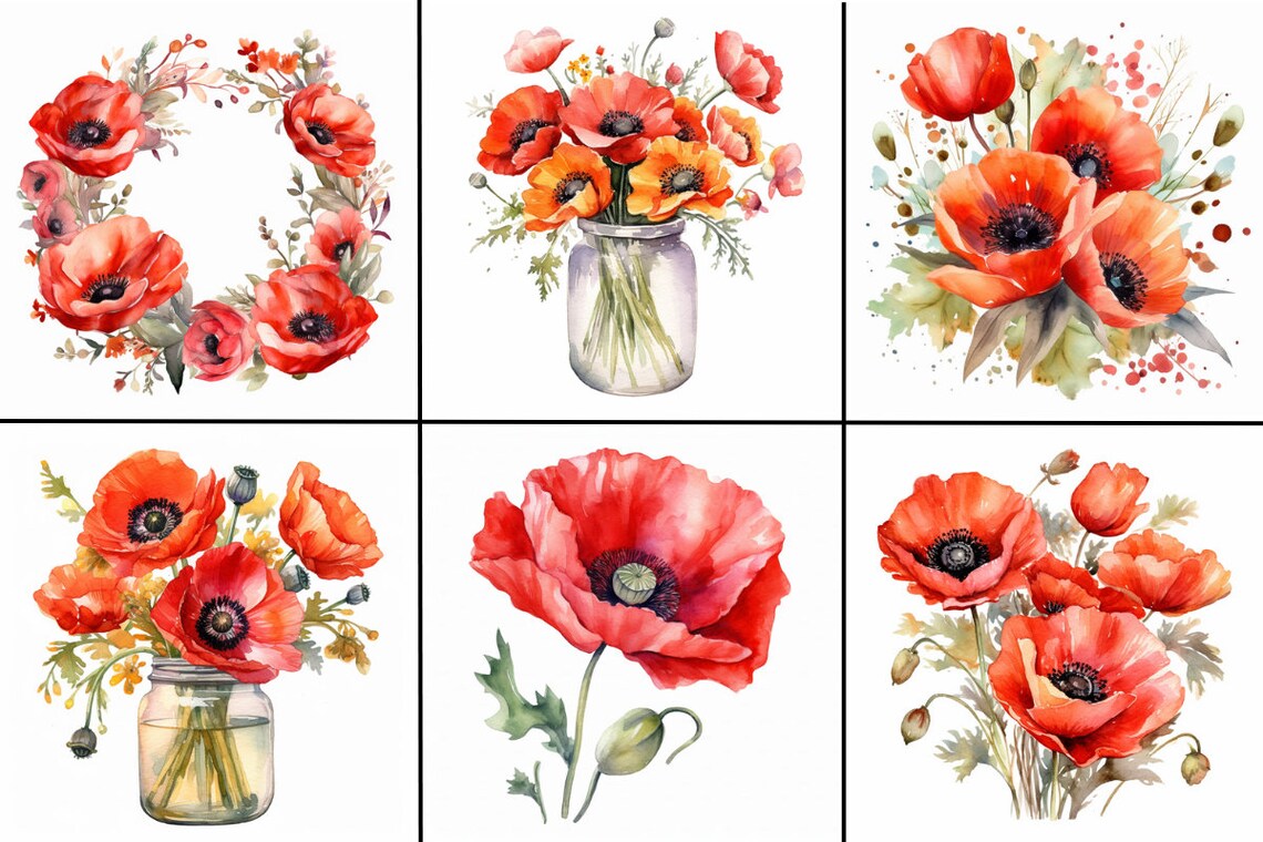 Watercolor Poppies Clipart - Floral Poppy Flowers and Bouquets. - PNG ...
