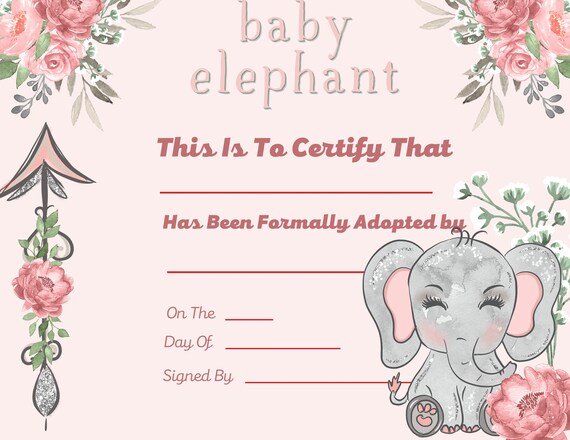 Baby Elephant Adoption Certificate Adopt A Baby Elephant | Etsy