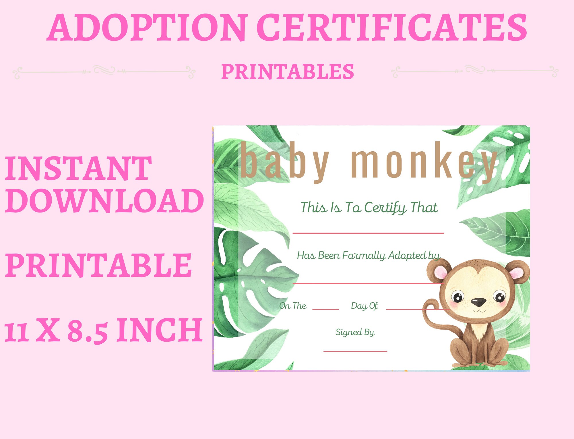 Baby Monkey Adoption Certificate, Adopt A Baby Monkey, Instant Download ...