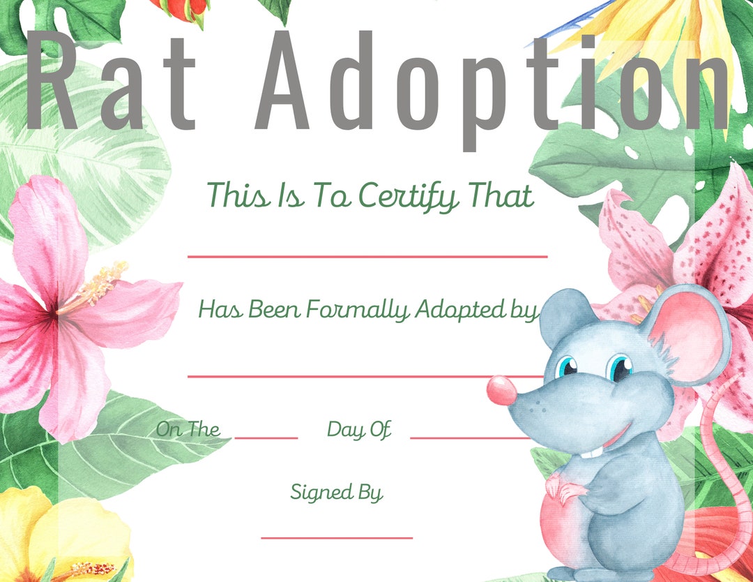 Rat Adoption Certificate, Adopt A Rat, Instant Download, Printable ...