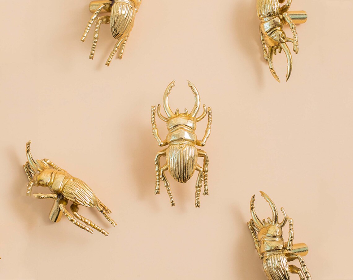 Bug Brass Knobs Drawer Knobs Cabinet Knobs Decor Knobs | Etsy