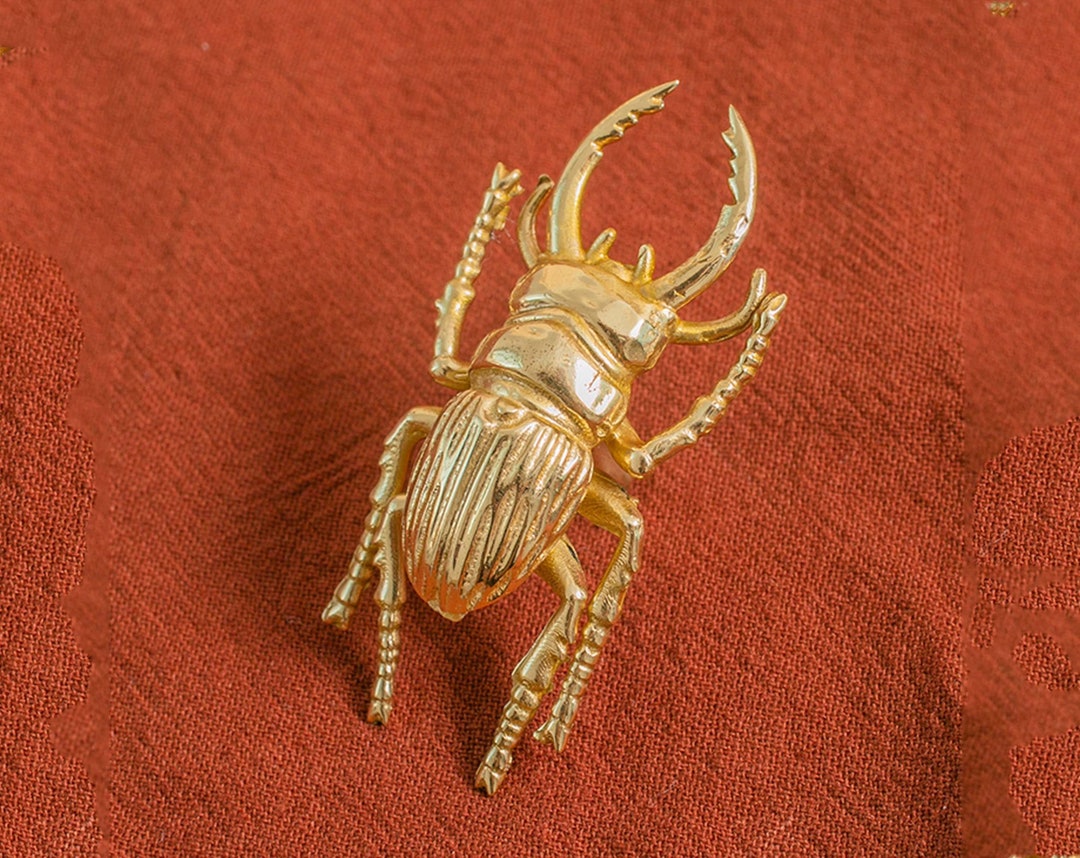 Bug Brass Knobs - Drawer Knobs - Cabinet Knobs - Decor Knobs - Cupboard ...