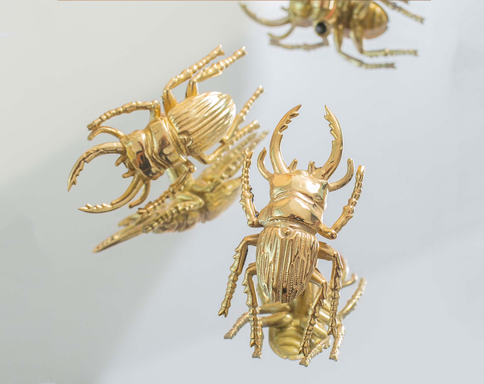 Bug Brass Knobs Drawer Knobs Cabinet Knobs Decor Knobs | Etsy