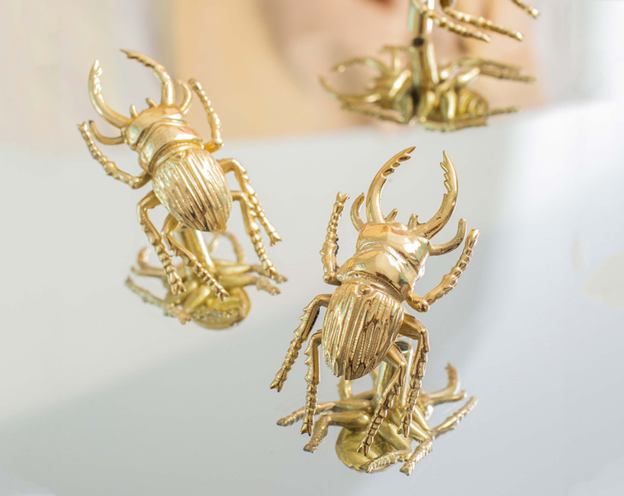 Bug Brass Knobs Drawer Knobs Cabinet Knobs Decor Knobs | Etsy