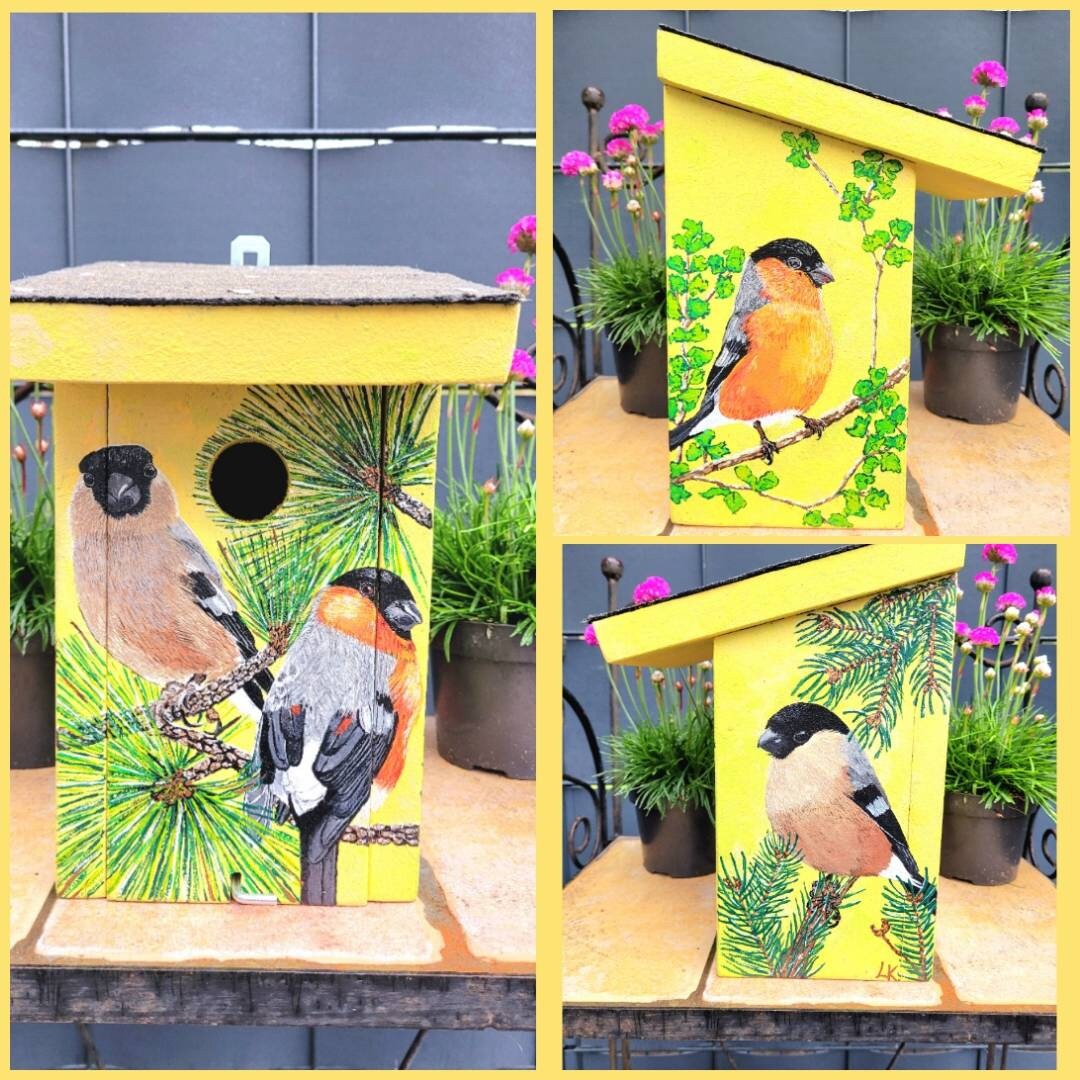 Nesting Box Hand-painted, Bird House, Bird Villa, Bullfinch, Birds ...