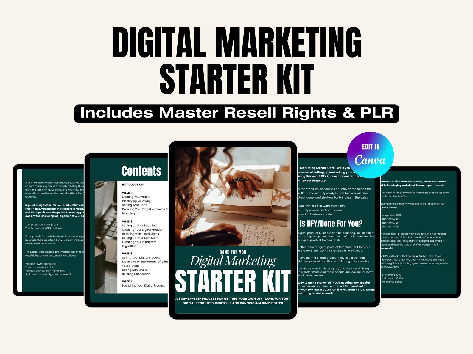 MRR PLR Digital Marketing Starter Kit, How to Sell Online, Canva ...
