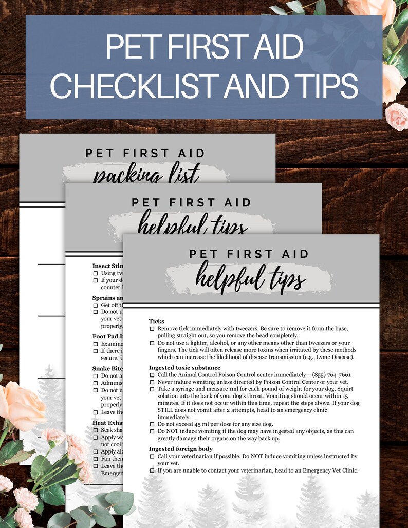 Pet First Aid Packing Checklist & Directions| Dog Hiking Emergency ...