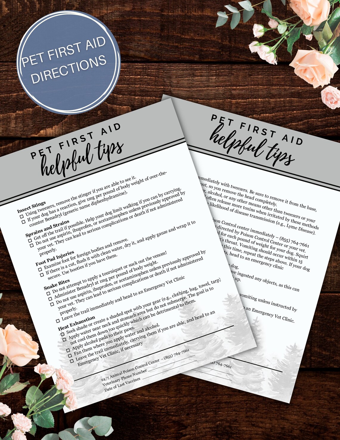 Pet First Aid Packing Checklist & Directions Dog Hiking | Etsy