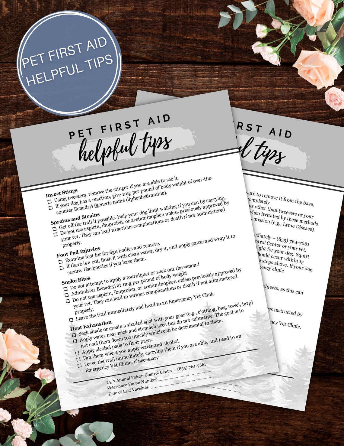 Pet First Aid Packing Checklist & Directions| Dog Hiking Emergency ...
