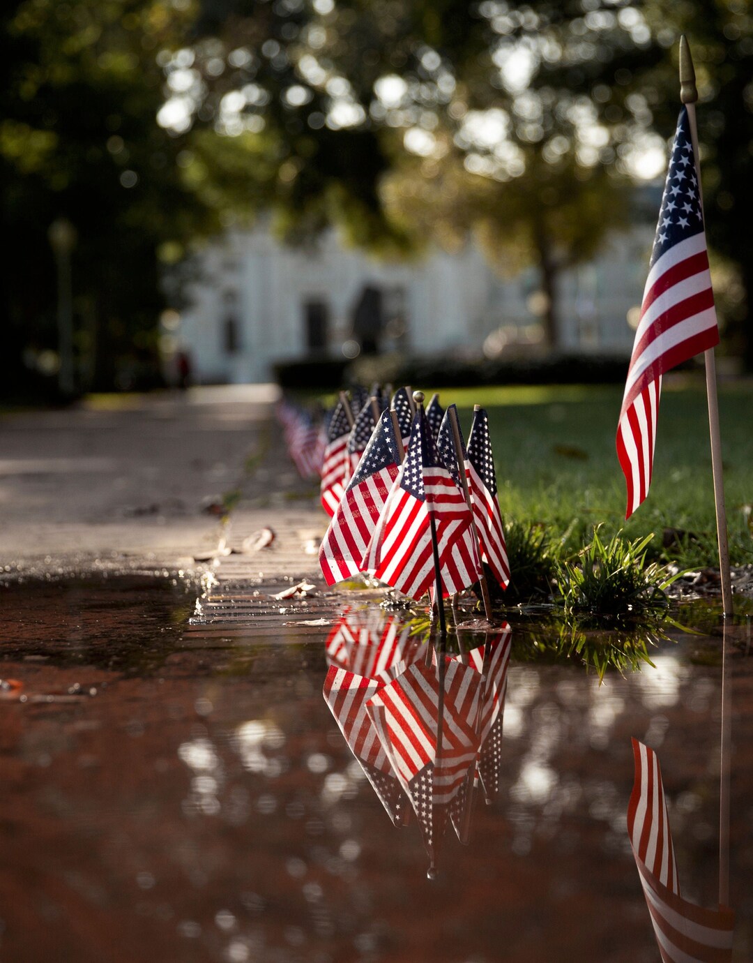Photograph - American Flag Reflection - Metal Print - Etsy