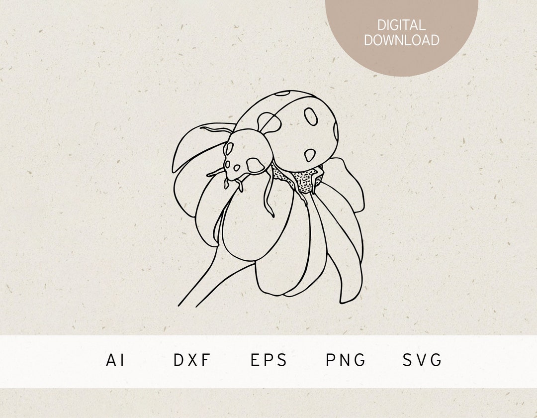 Plotterdatei Marienkäfer auf Blume SVG DXF PNG Ai - Etsy.de