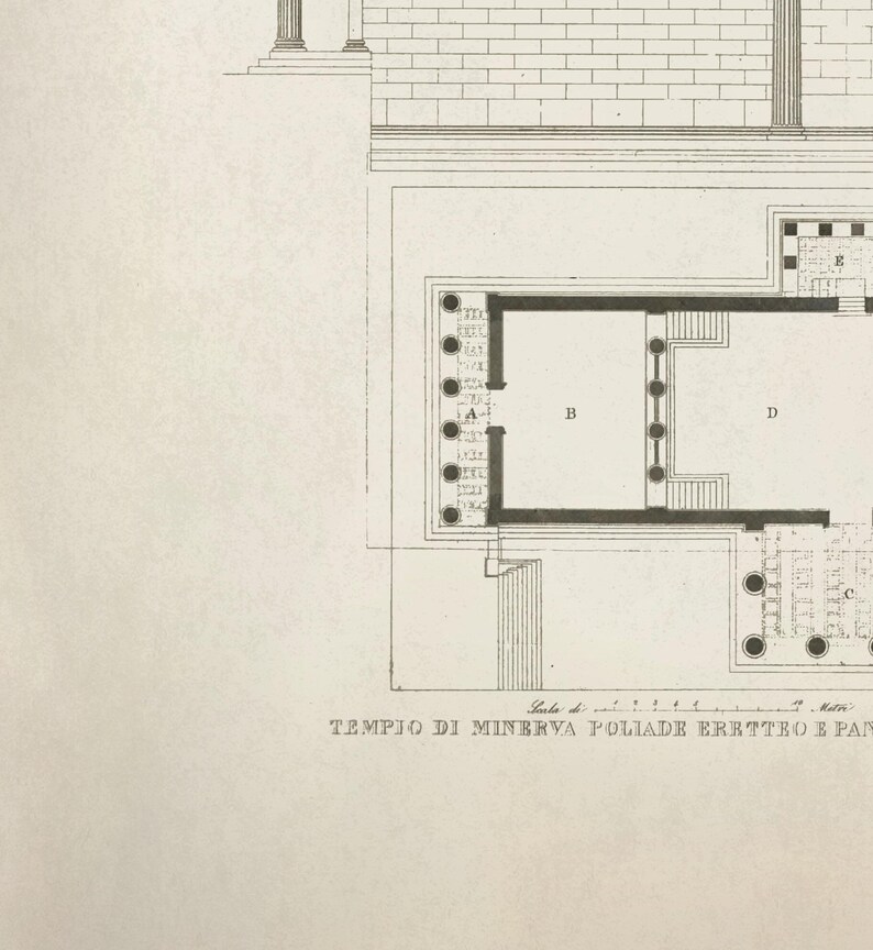 Greek Temple Minerva Architectural Plans Print: Ancient Building Poster ...