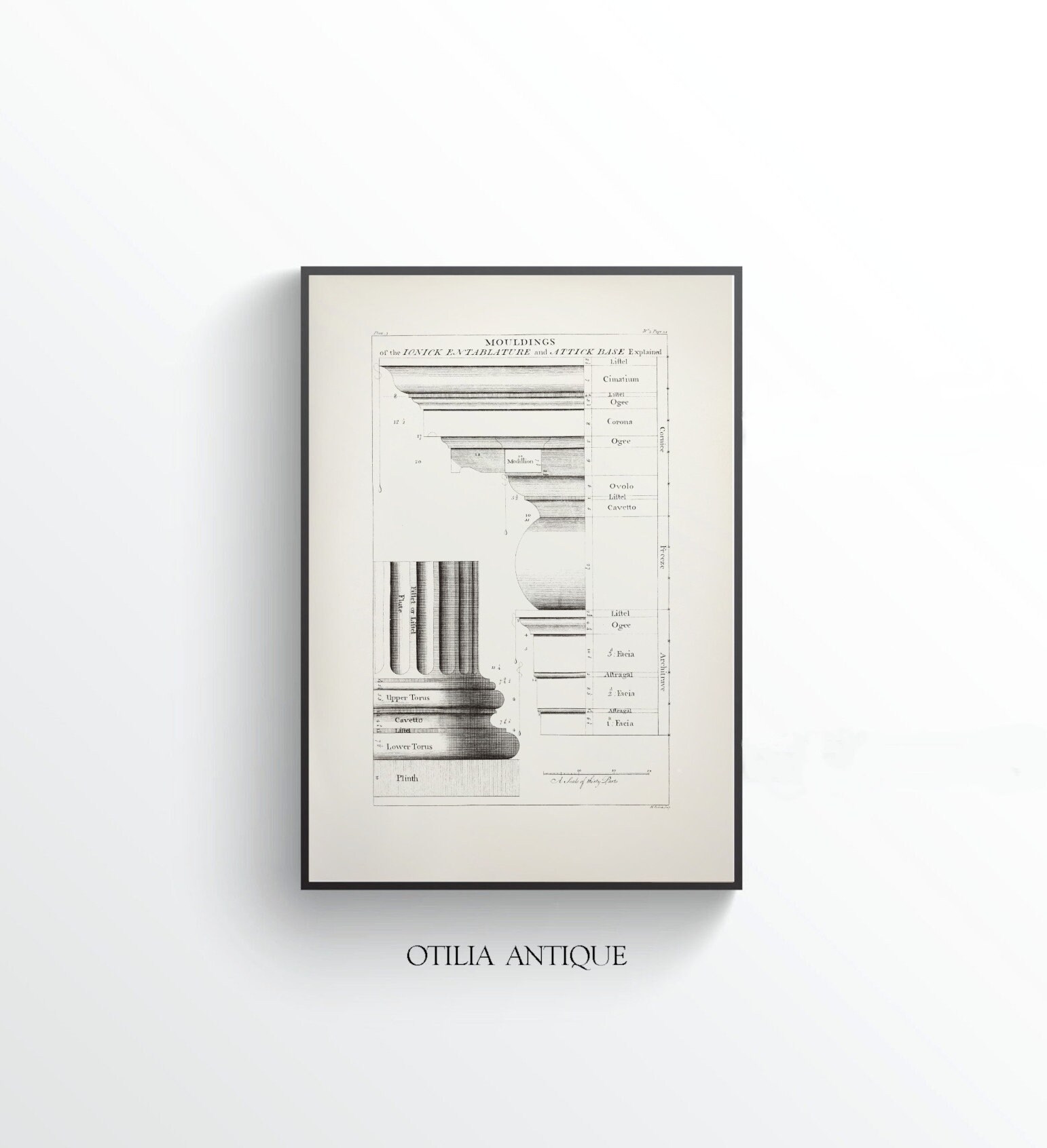 Ionic Moulding Architectural Art Print, Ancient Greece Columns Poster ...