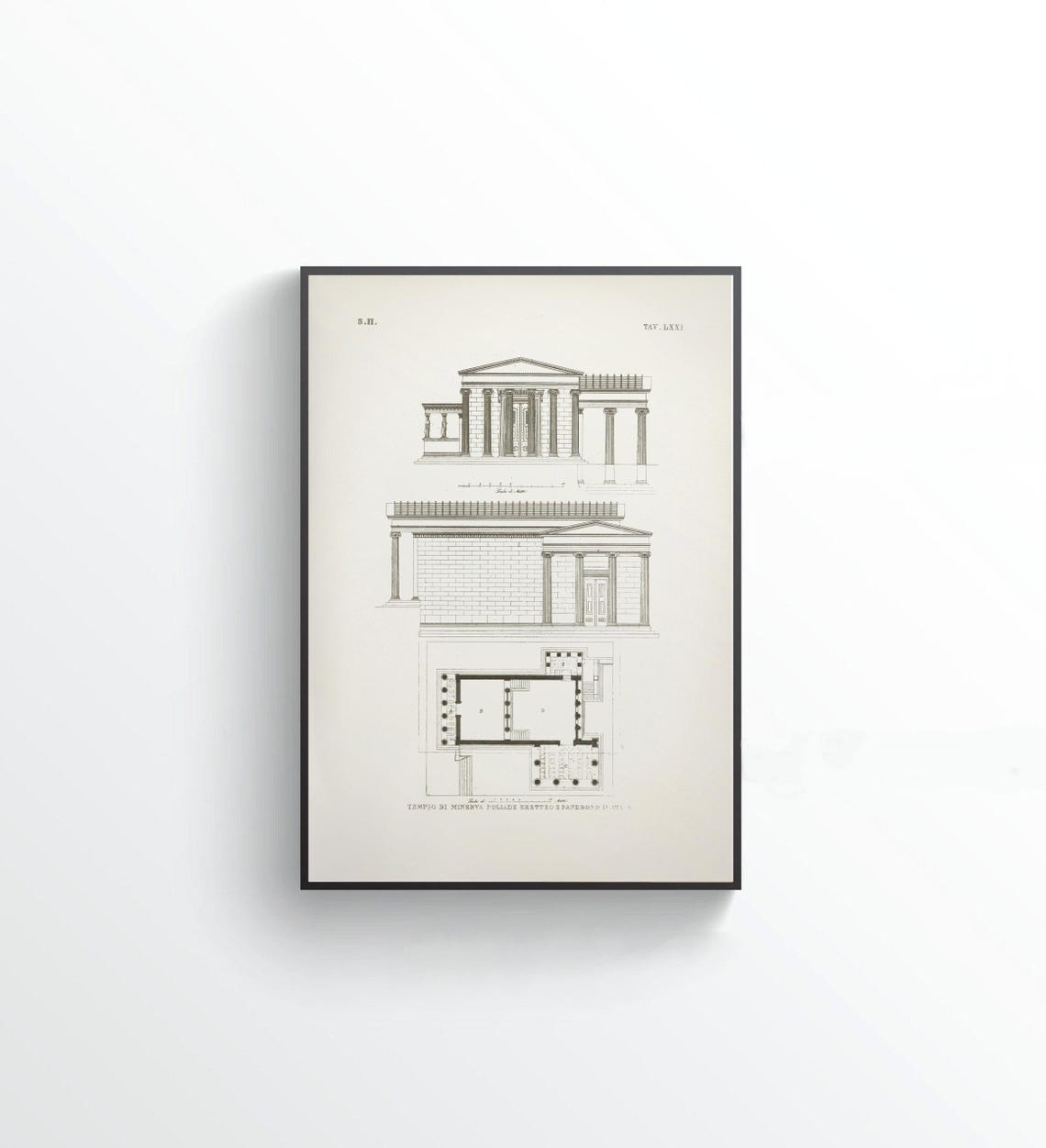 Greek Temple Minerva Architectural Plans Print: Ancient Building Poster ...